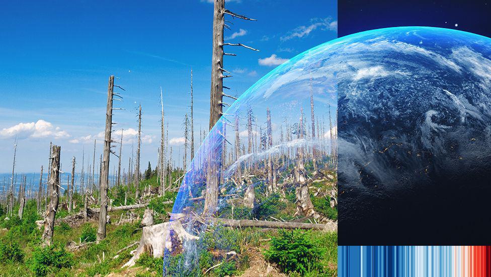 Disasters, environment, and climate change